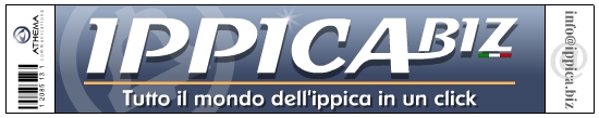 La pagina corrente utilizza i frame. Questa caratteristica non è ...